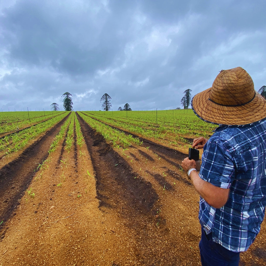 Farm Consultation – SoiLife